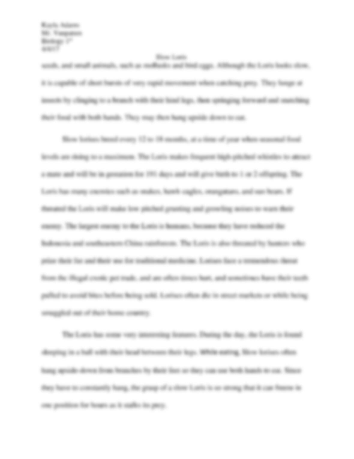Slow Loris | Course Paper